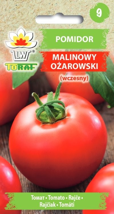 Pomidor gruntowy Malinowy Ożarowski (wczesny) – Zdrowe Nasiona